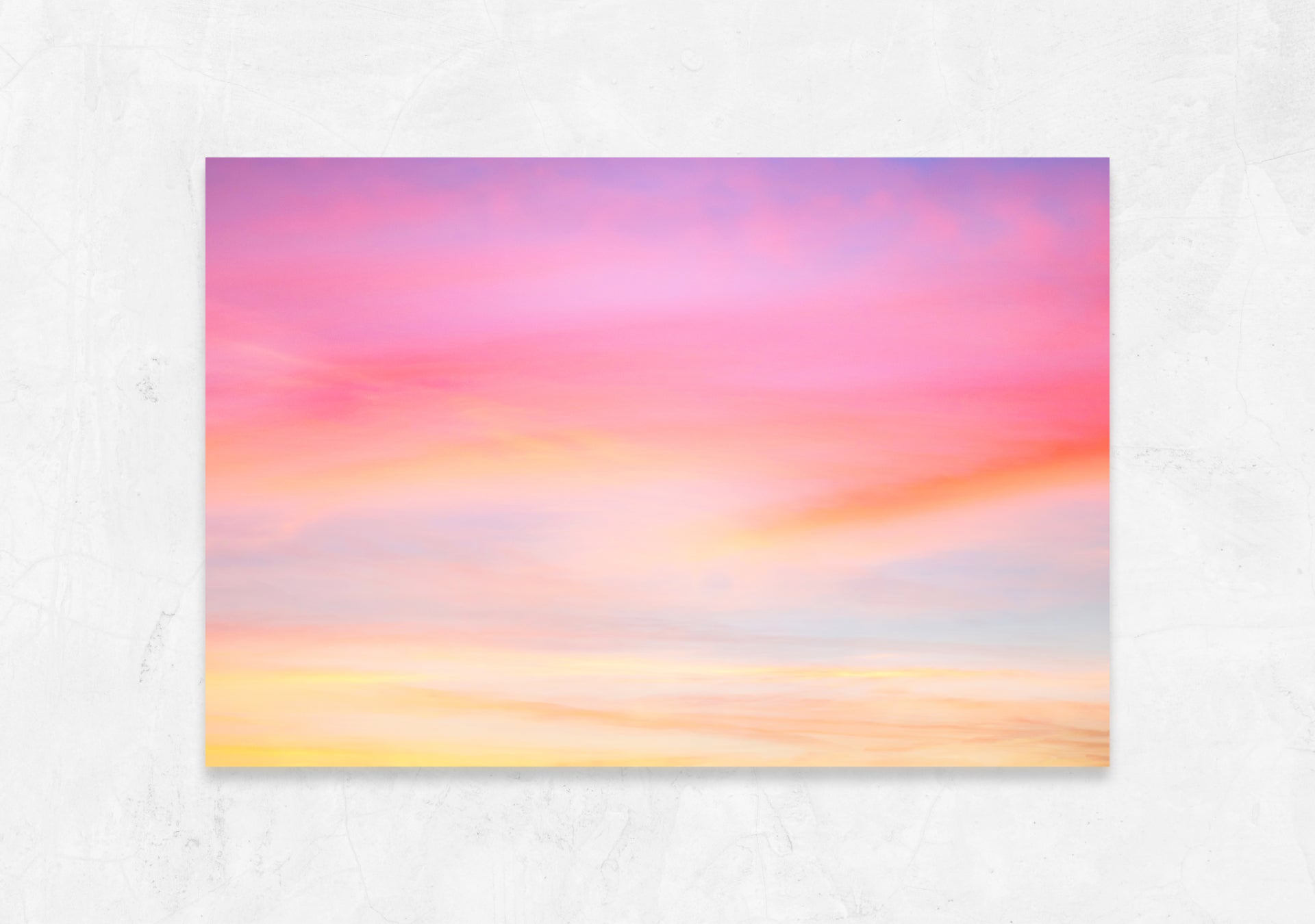 Natural Photography Backdrops