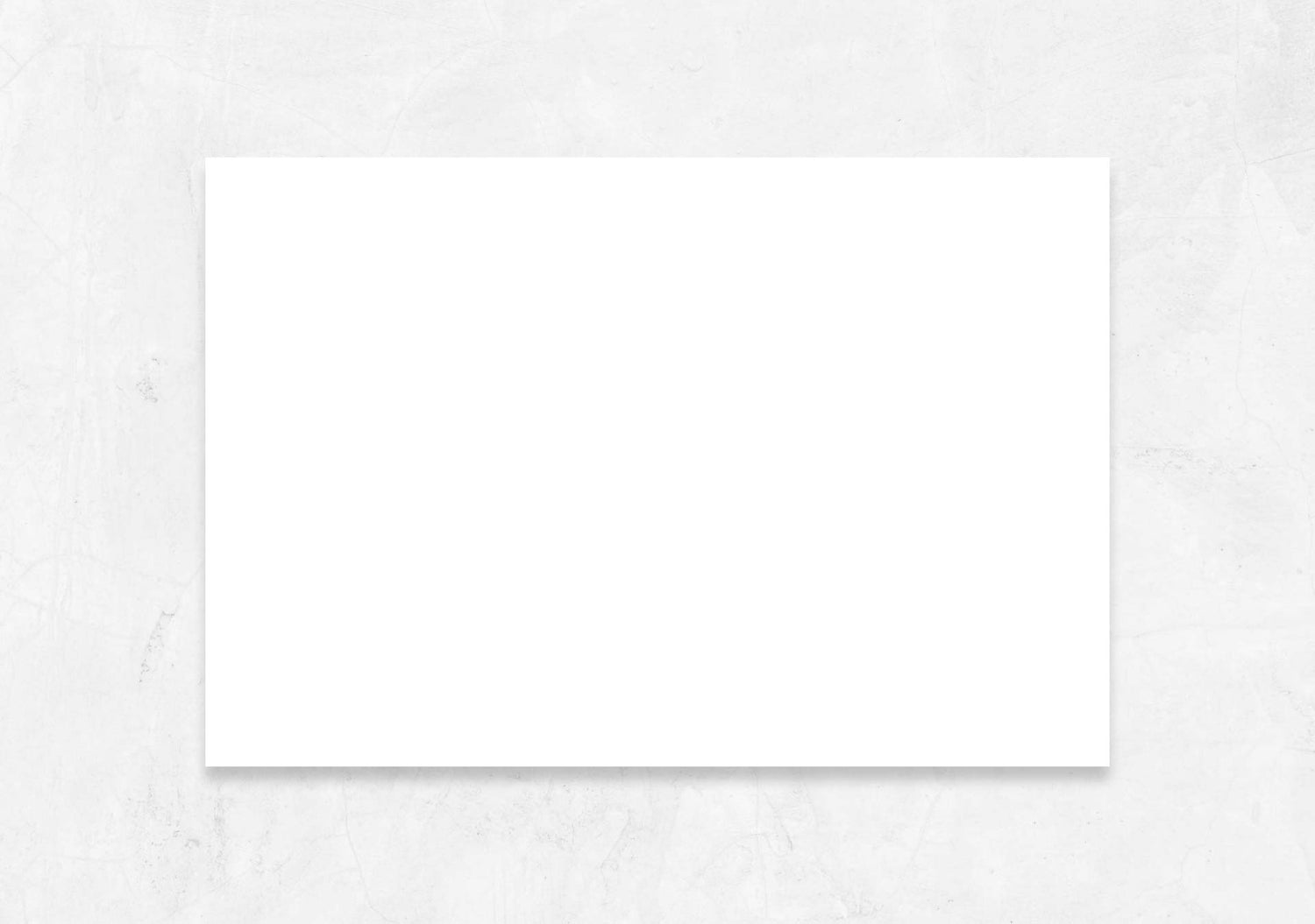 Vinyl Backdrops Australia: Premium photography vinyl backdrops