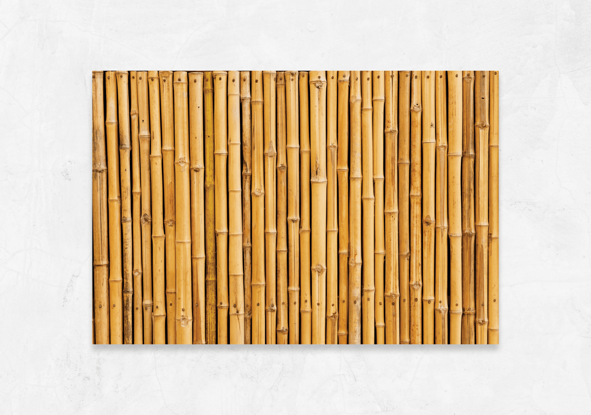 Bamboo Timber Panelling Vinyl Photography Backdrops