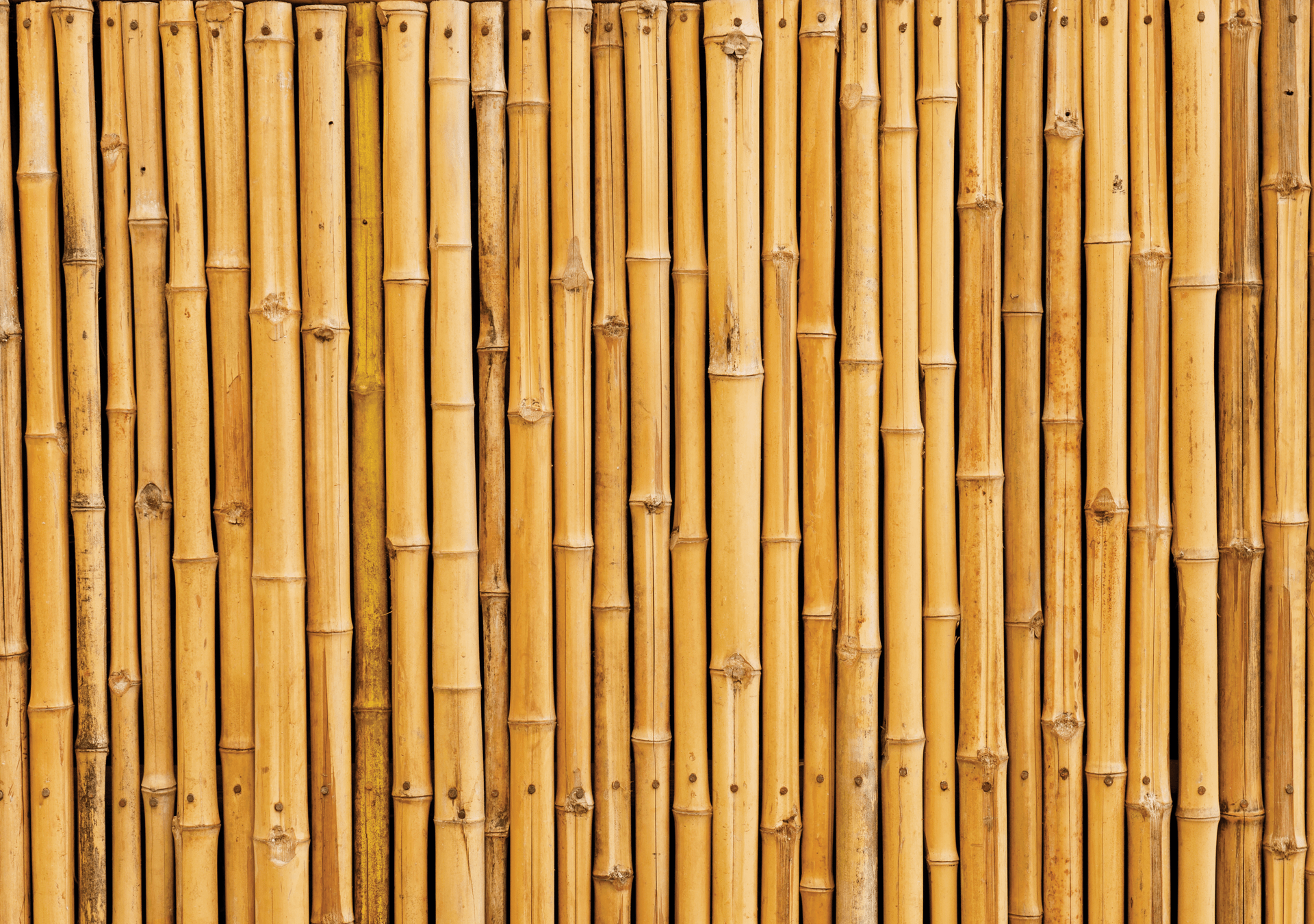Bamboo Timber Panelling Vinyl Photography Backdrops