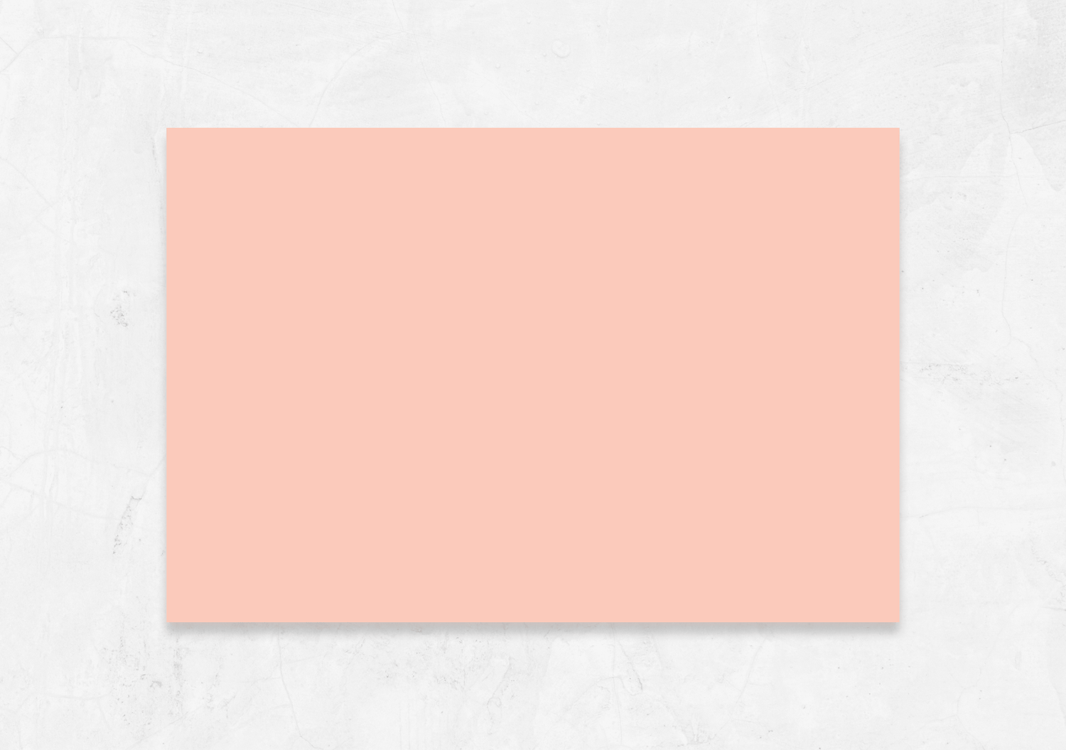 Peachy Light Solid Vinyl Photography Backdrops